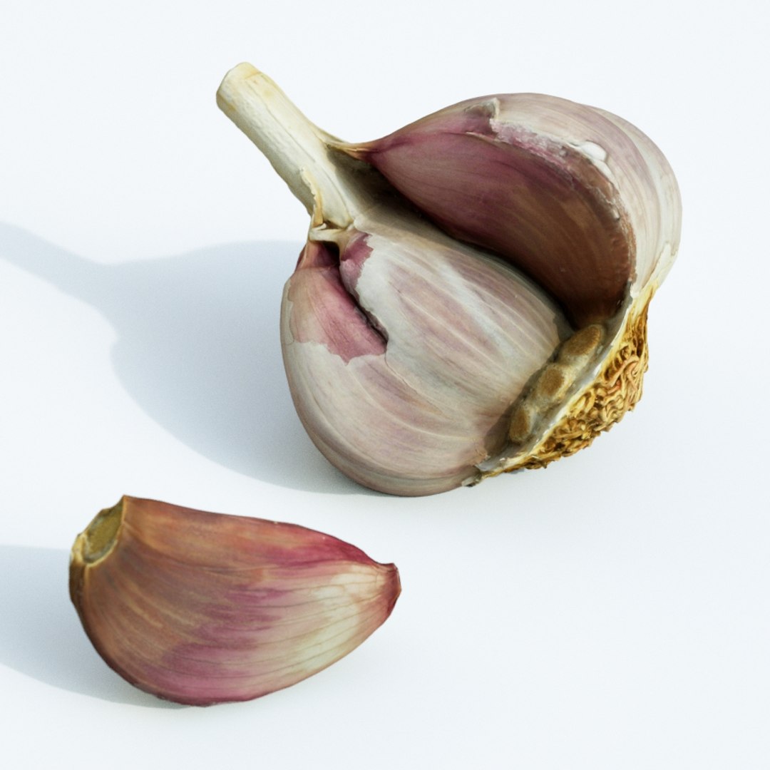 Garlic Opened 3D - TurboSquid 1349504