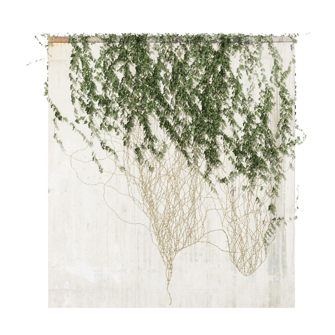 3D Collection Plant Vol 414 - Leaf - Outdoor - Garden - Blender - 3dmax - Cinema 4d Model ...