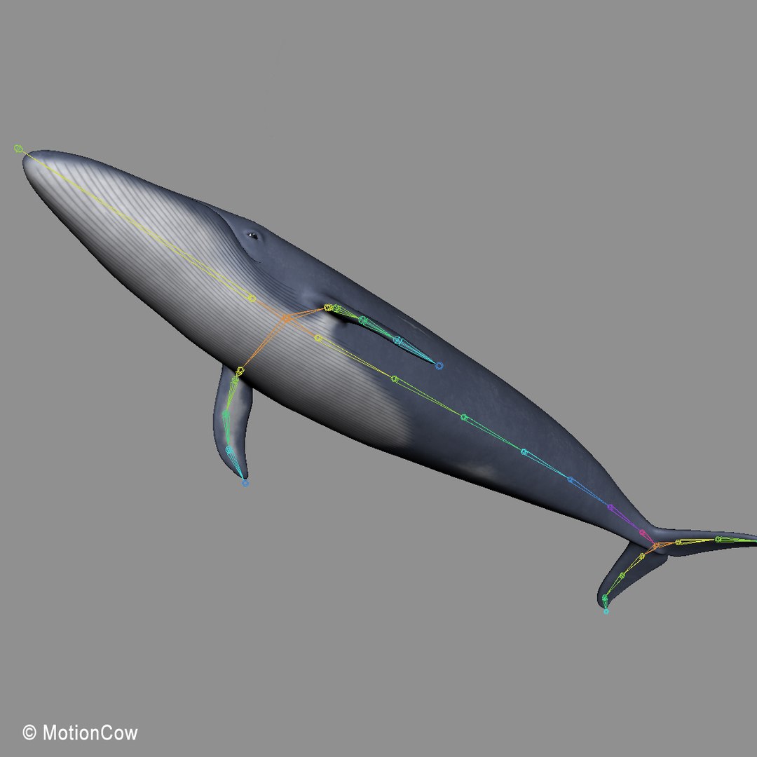 blue animation 3d max