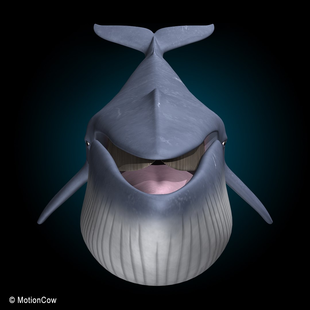 Blue Animation 3d Max