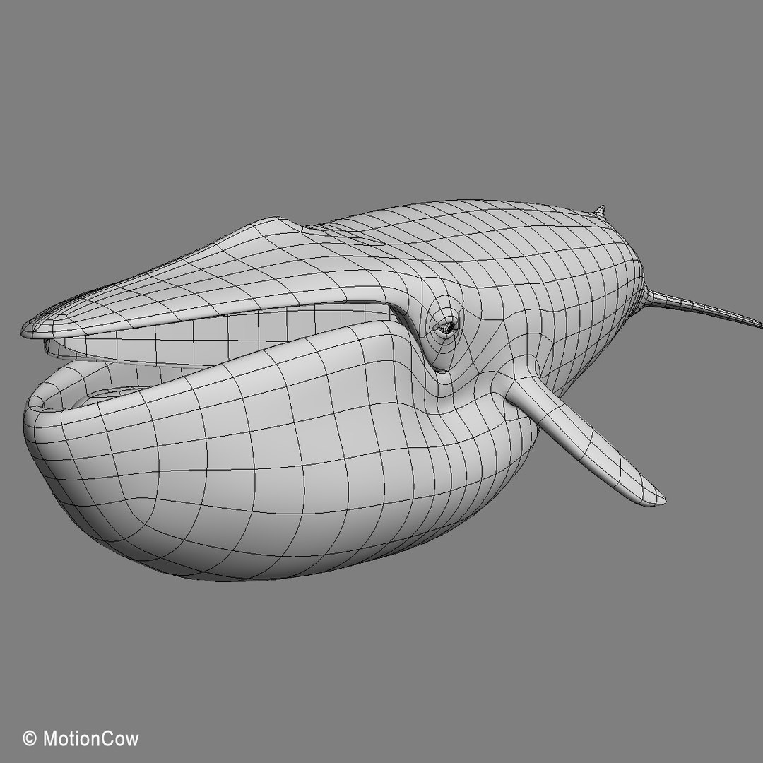 blue animation 3d max