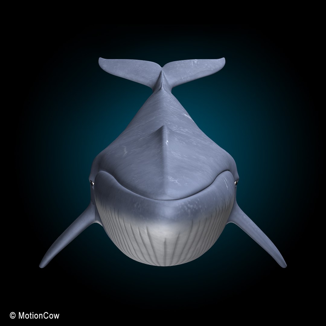 Blue Animation 3d Max