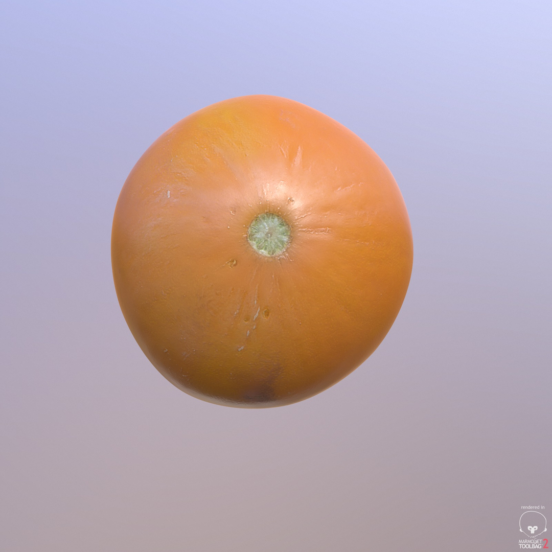 Melon Photorealistic Scaned 3d Model