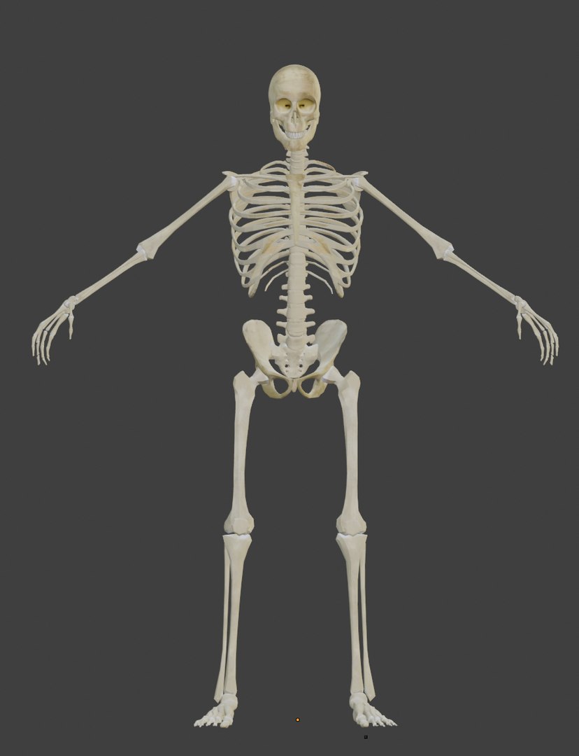 Human 3D Model - TurboSquid 1509171