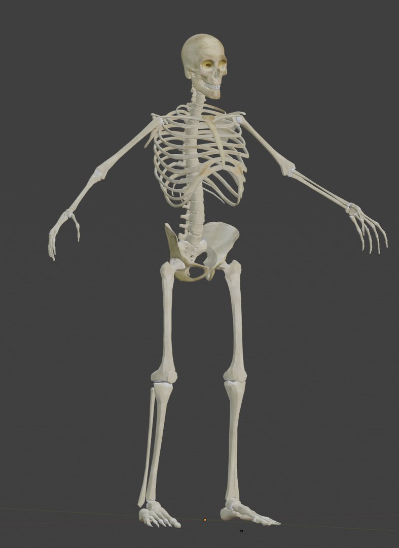 Human 3D Model - TurboSquid 1509171