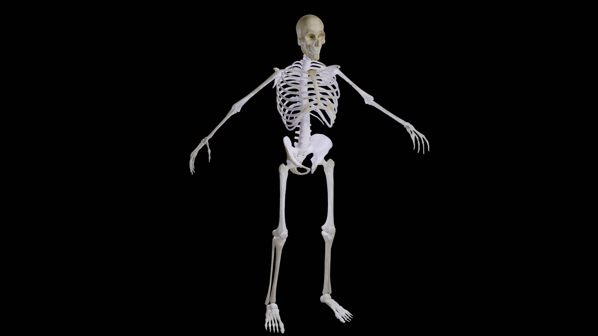 Human 3D Model - TurboSquid 1509171