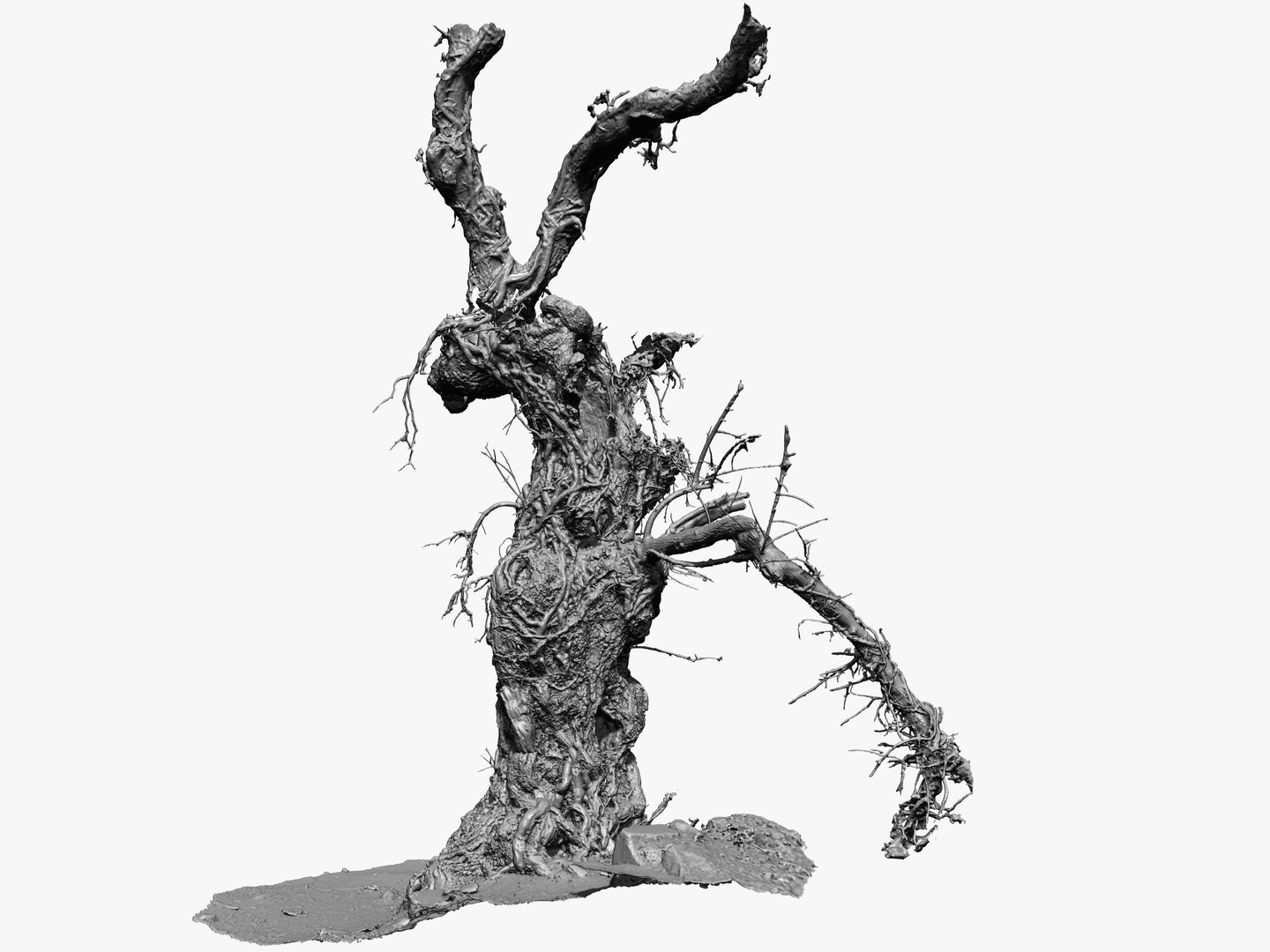 Spooky Monster Tree 3D model with Faces and Animal Siluets RAW 3D Scan ...