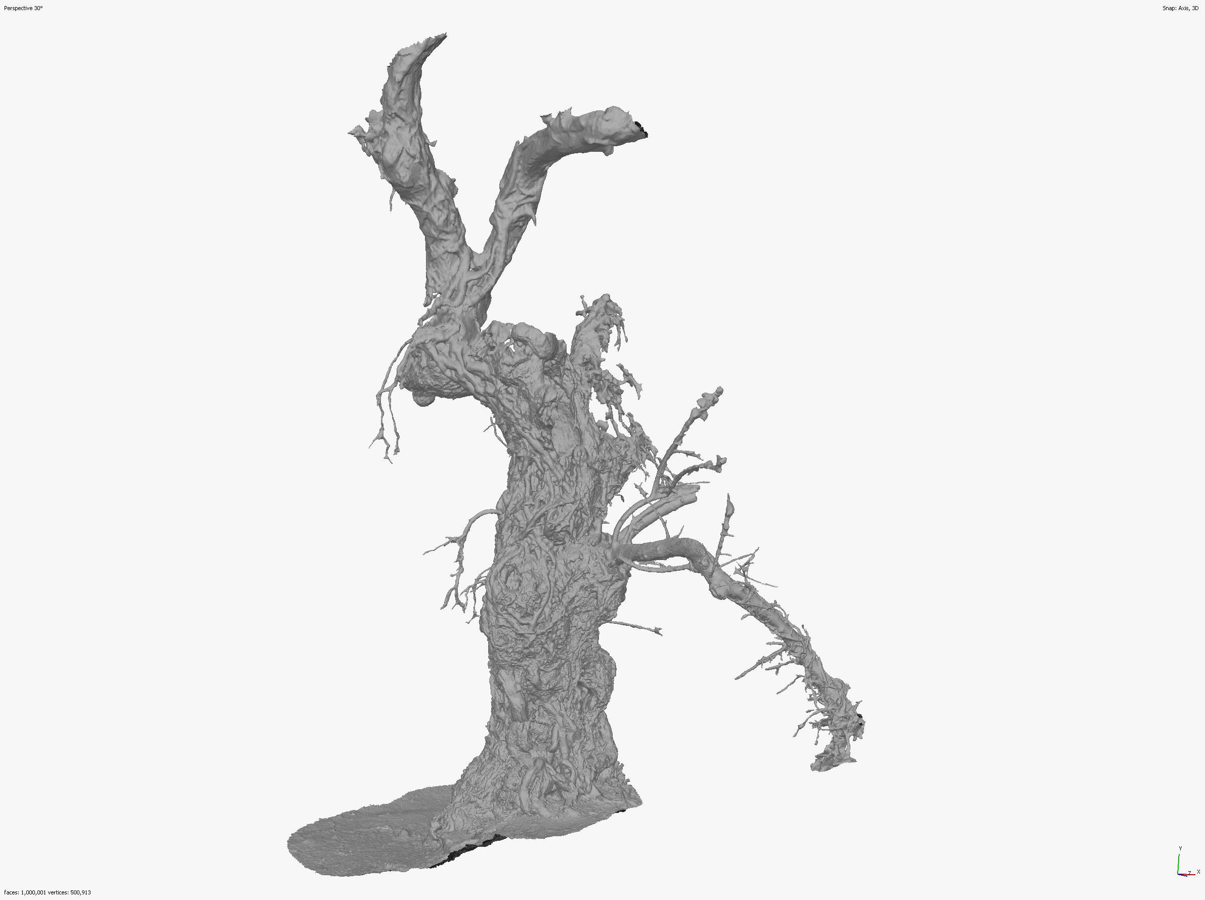 Spooky Monster Tree 3D model with Faces and Animal Siluets RAW 3D Scan ...