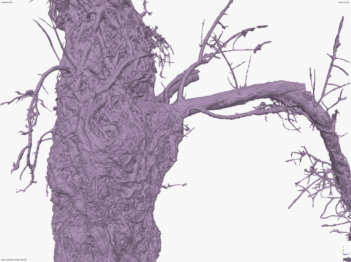 Spooky Monster Tree 3D model with Faces and Animal Siluets RAW 3D Scan ...