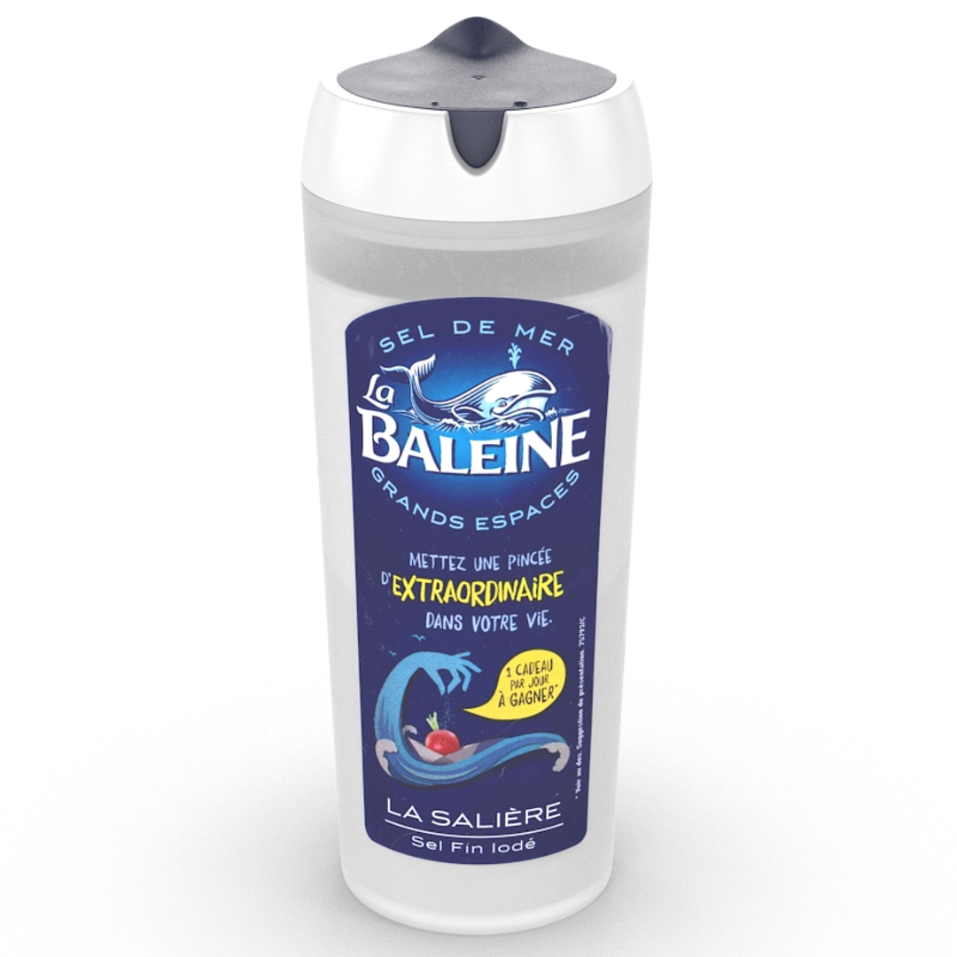 Salt 3D Model - TurboSquid 1187289