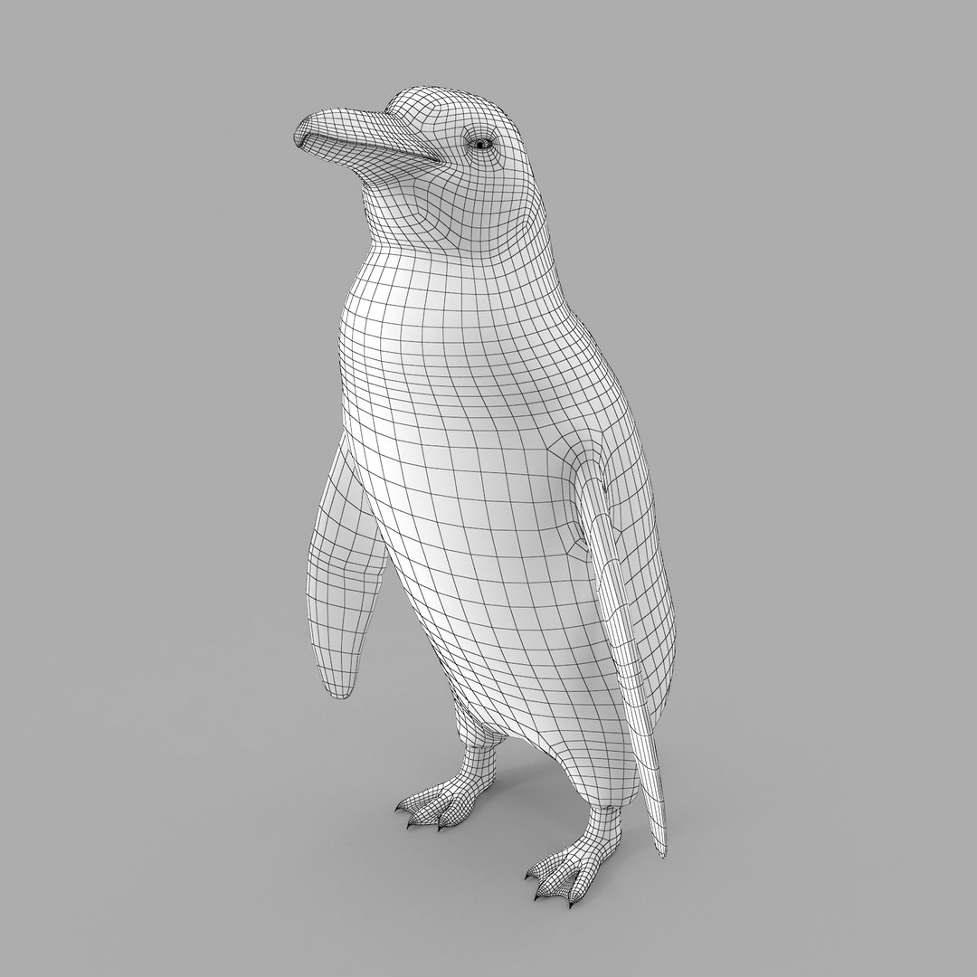 African penguin 3D model - TurboSquid 1180857