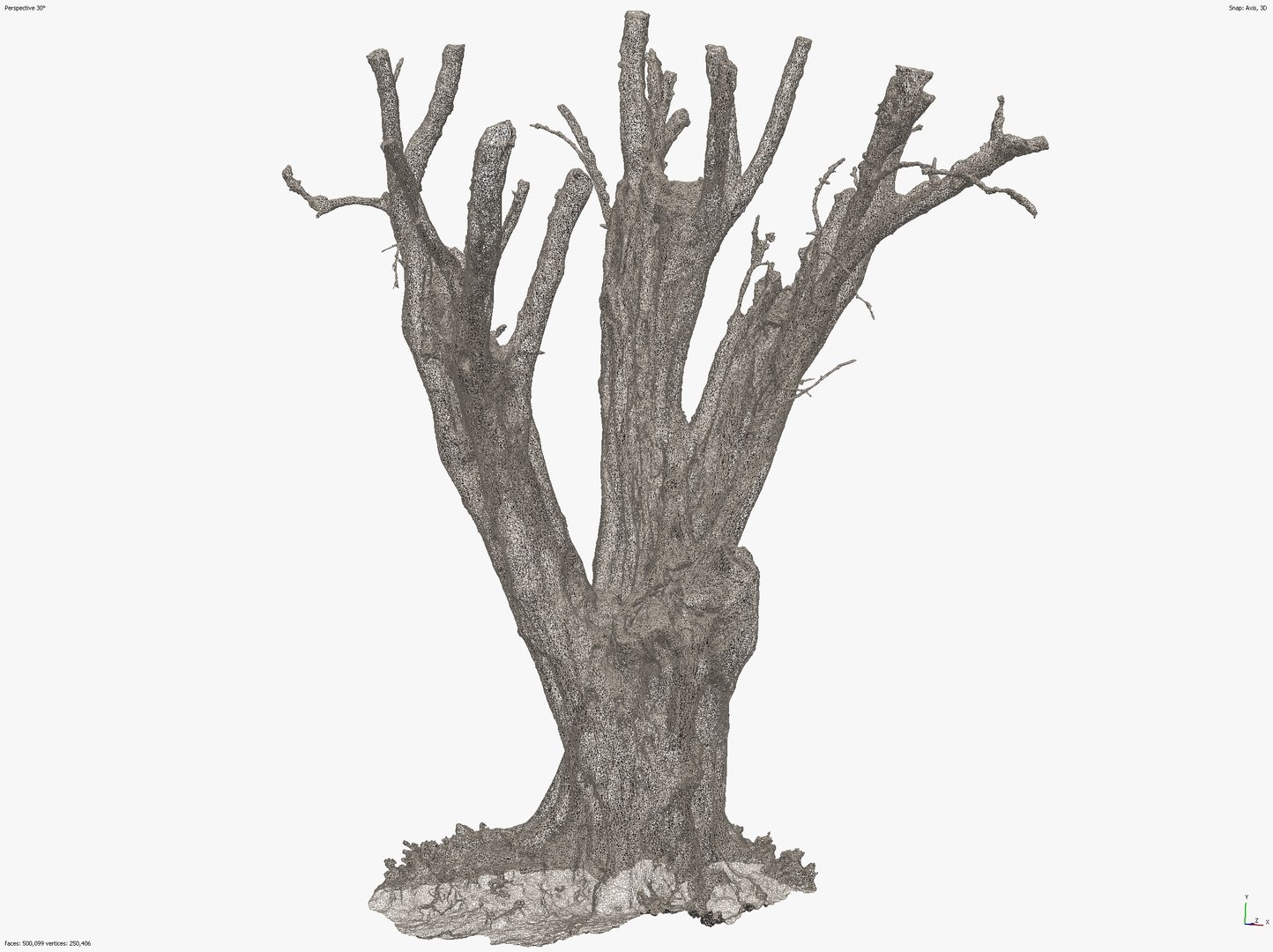 20 TREES BUNDLE of SCANS DAMAGED TREES 3D MODELS COLLECTION 3D model ...