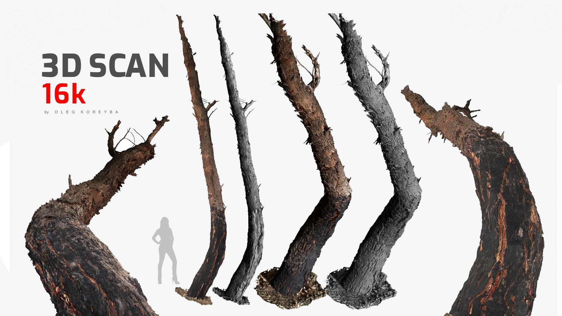 20 TREES BUNDLE Of SCANS DAMAGED TREES 3D MODELS COLLECTION 3D Model ...