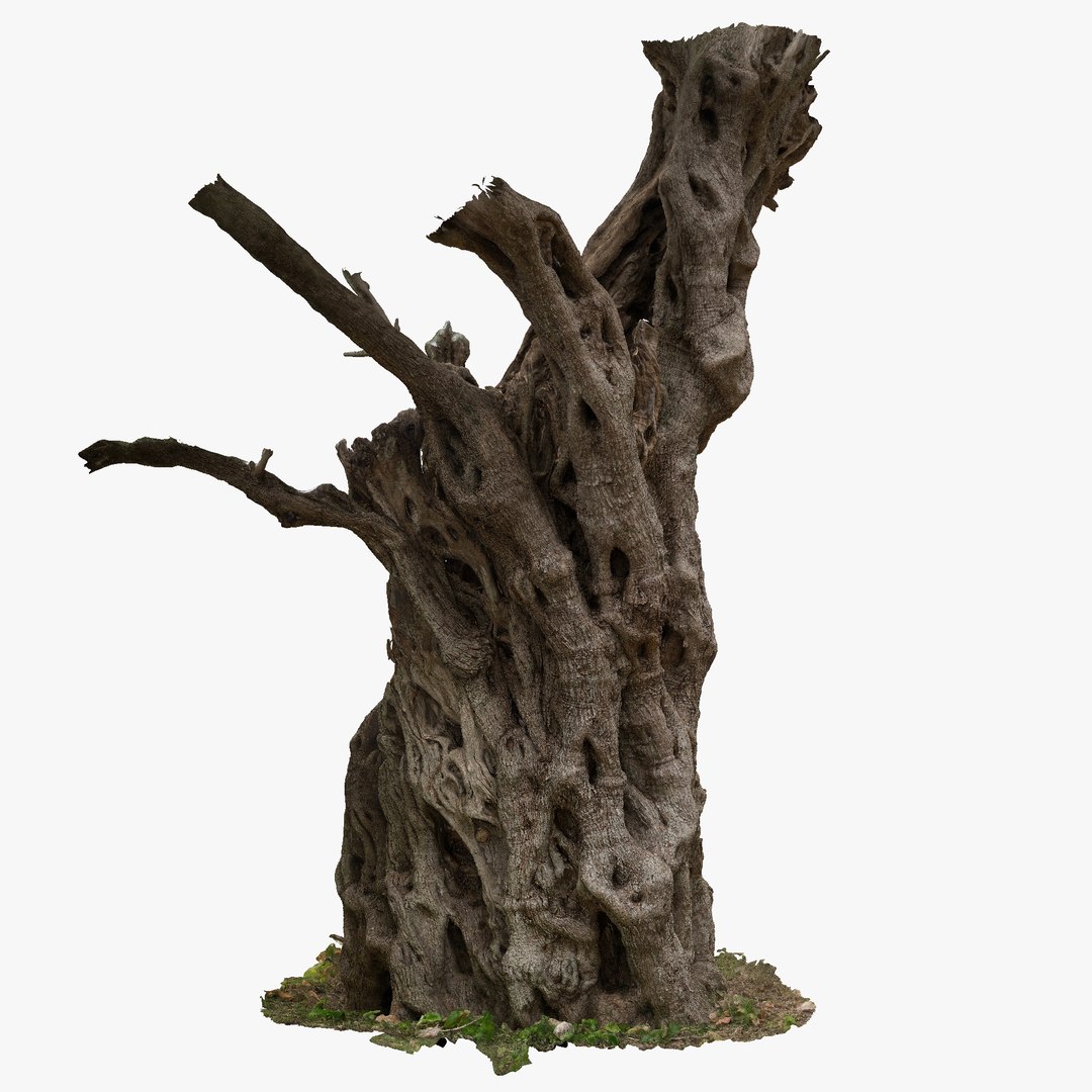 20 TREES BUNDLE of SCANS DAMAGED TREES 3D MODELS COLLECTION 3D model ...
