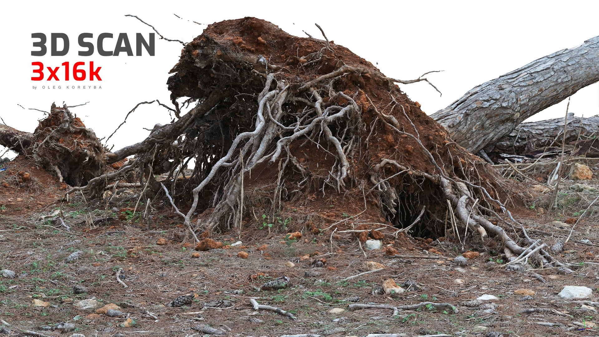 20 TREES BUNDLE Of SCANS DAMAGED TREES 3D MODELS COLLECTION 3D Model ...