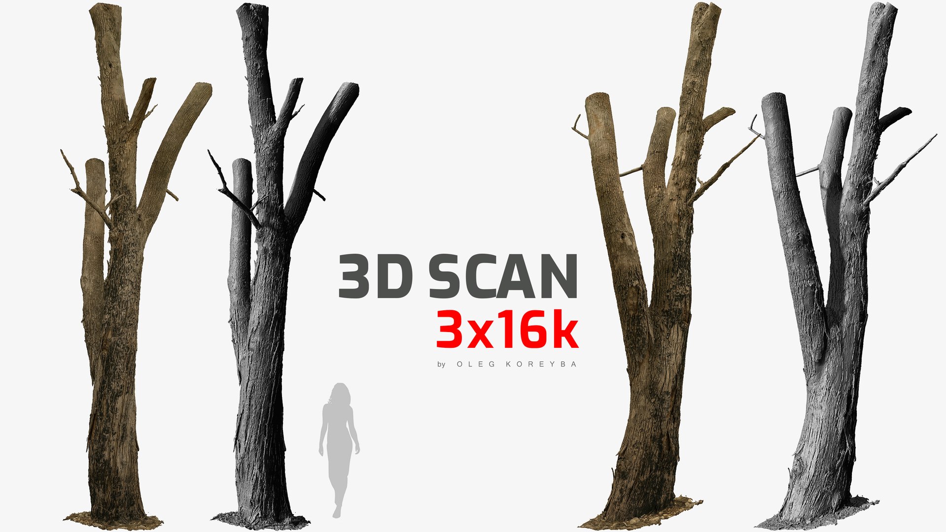 20 TREES BUNDLE of SCANS DAMAGED TREES 3D MODELS COLLECTION 3D model ...