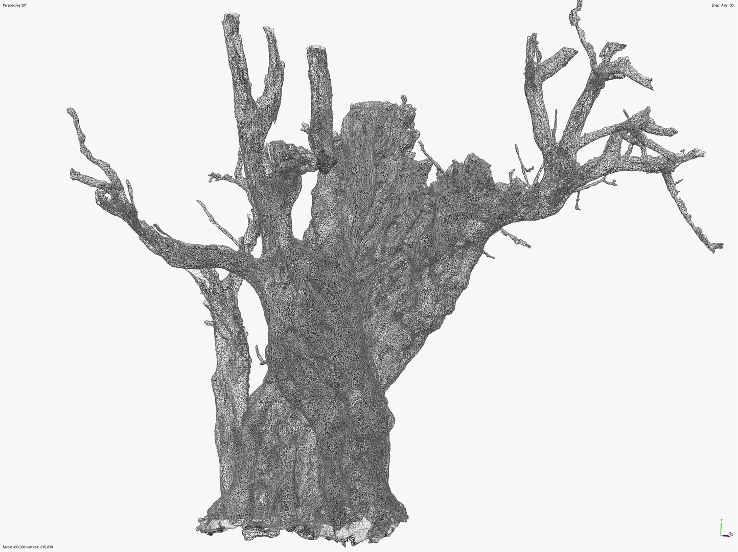 20 TREES BUNDLE of SCANS DAMAGED TREES 3D MODELS COLLECTION 3D model ...