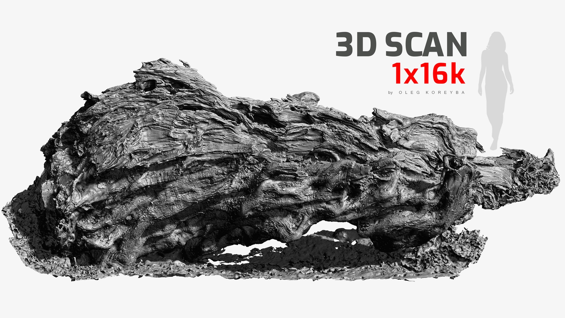 20 TREES BUNDLE of SCANS DAMAGED TREES 3D MODELS COLLECTION 3D model ...