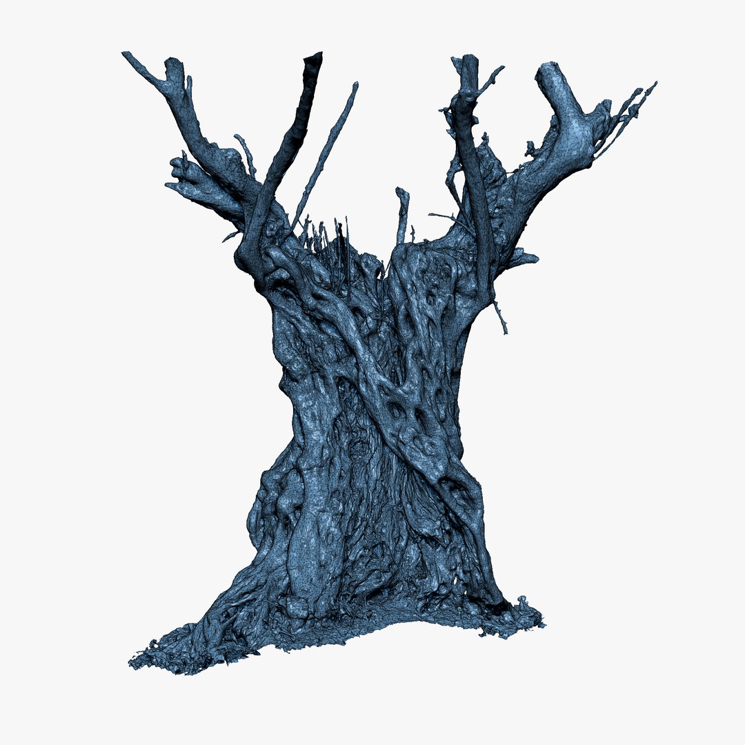 20 TREES BUNDLE of SCANS DAMAGED TREES 3D MODELS COLLECTION 3D model - TurboSquid 1956910
