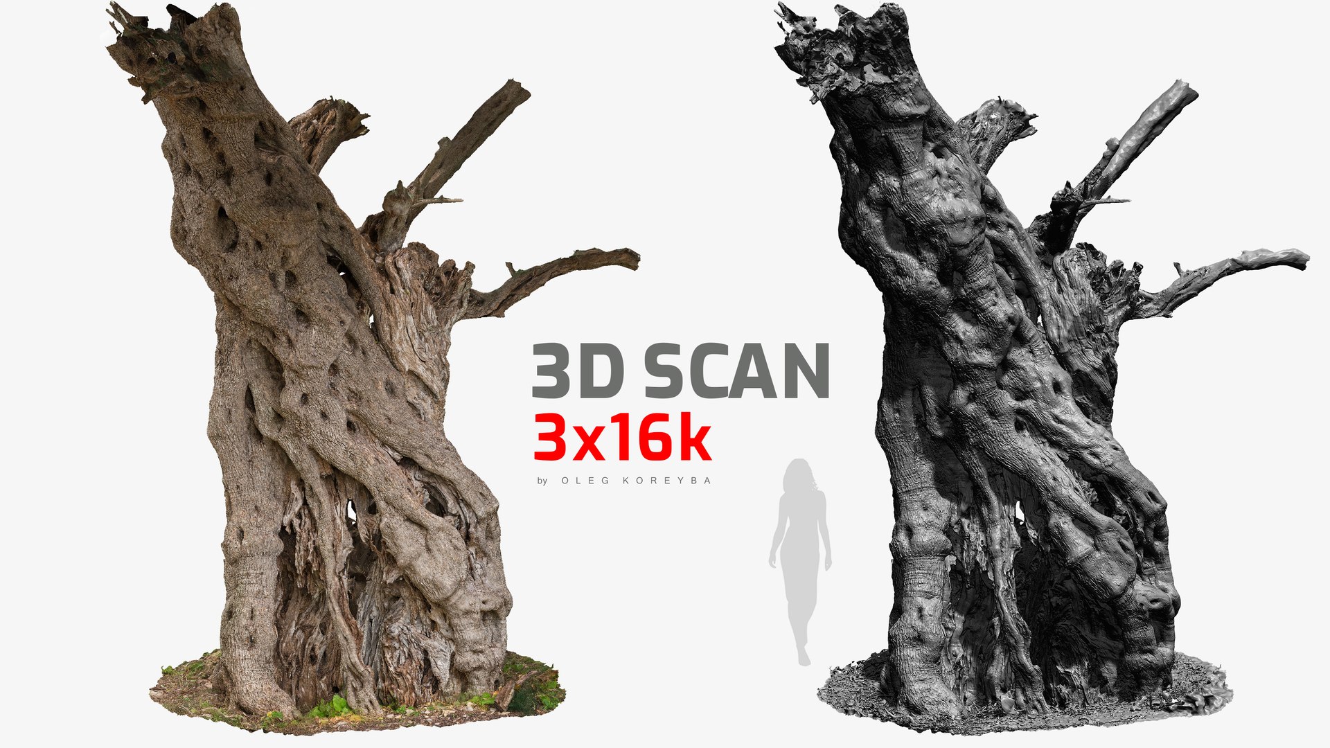 20 TREES BUNDLE of SCANS DAMAGED TREES 3D MODELS COLLECTION 3D model ...