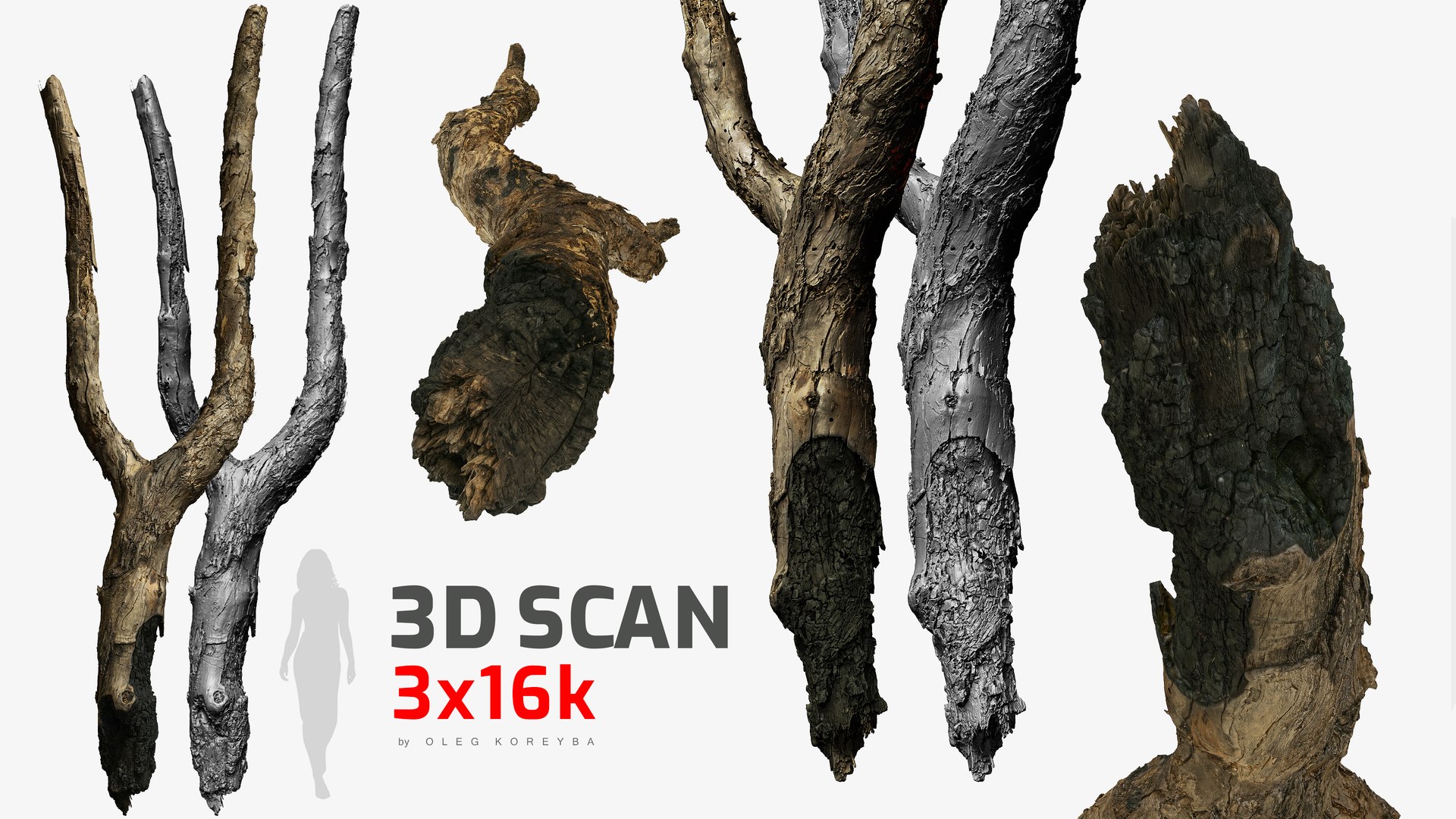 20 TREES BUNDLE Of SCANS DAMAGED TREES 3D MODELS COLLECTION 3D Model ...