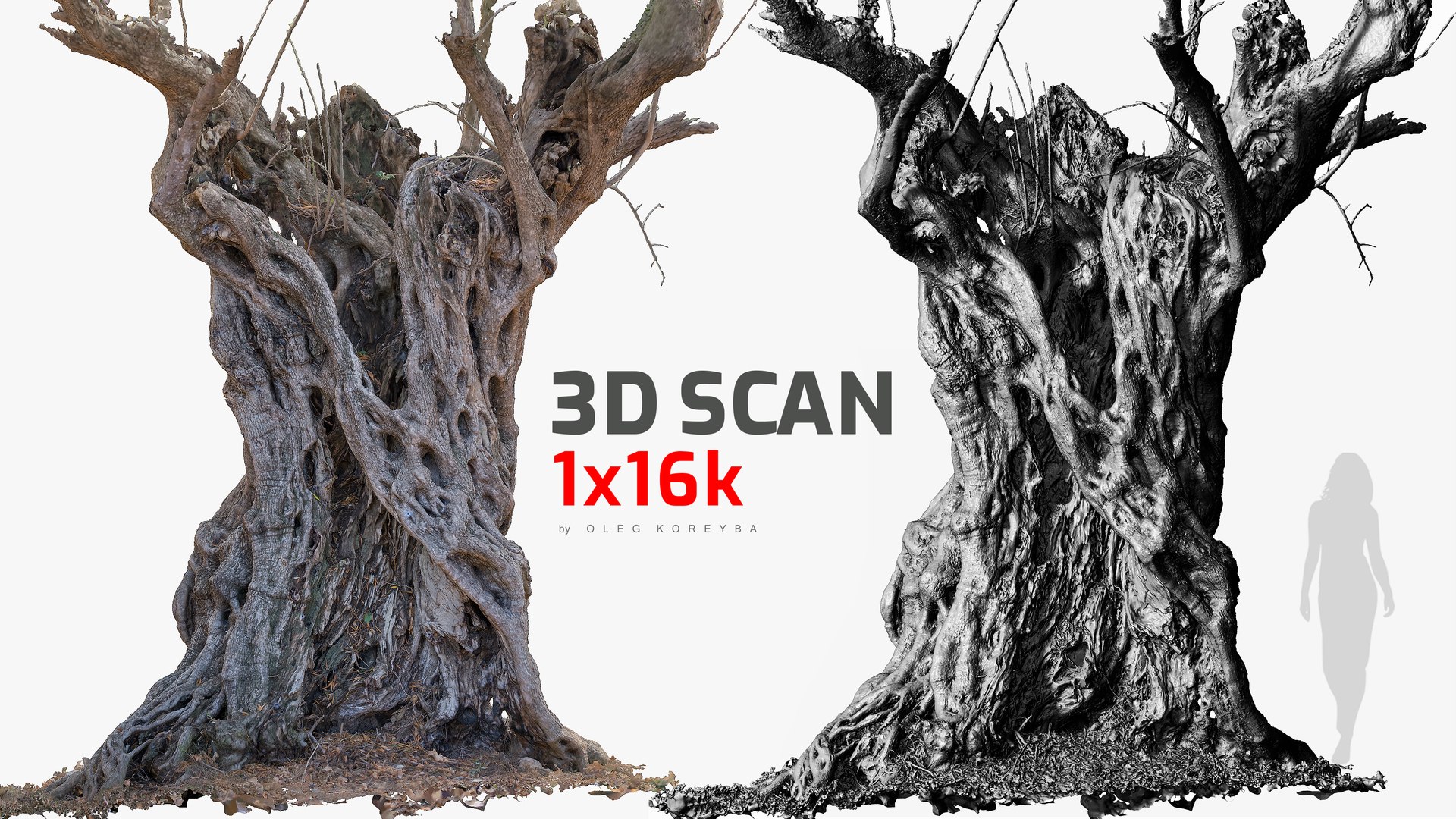 20 TREES BUNDLE of SCANS DAMAGED TREES 3D MODELS COLLECTION 3D model ...