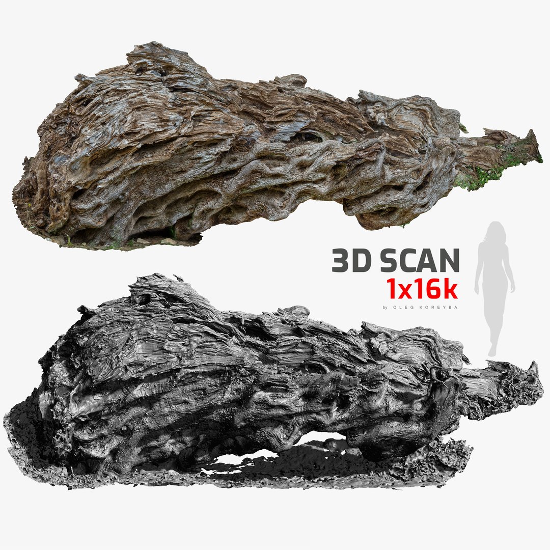 20 TREES BUNDLE of SCANS DAMAGED TREES 3D MODELS COLLECTION 3D model ...