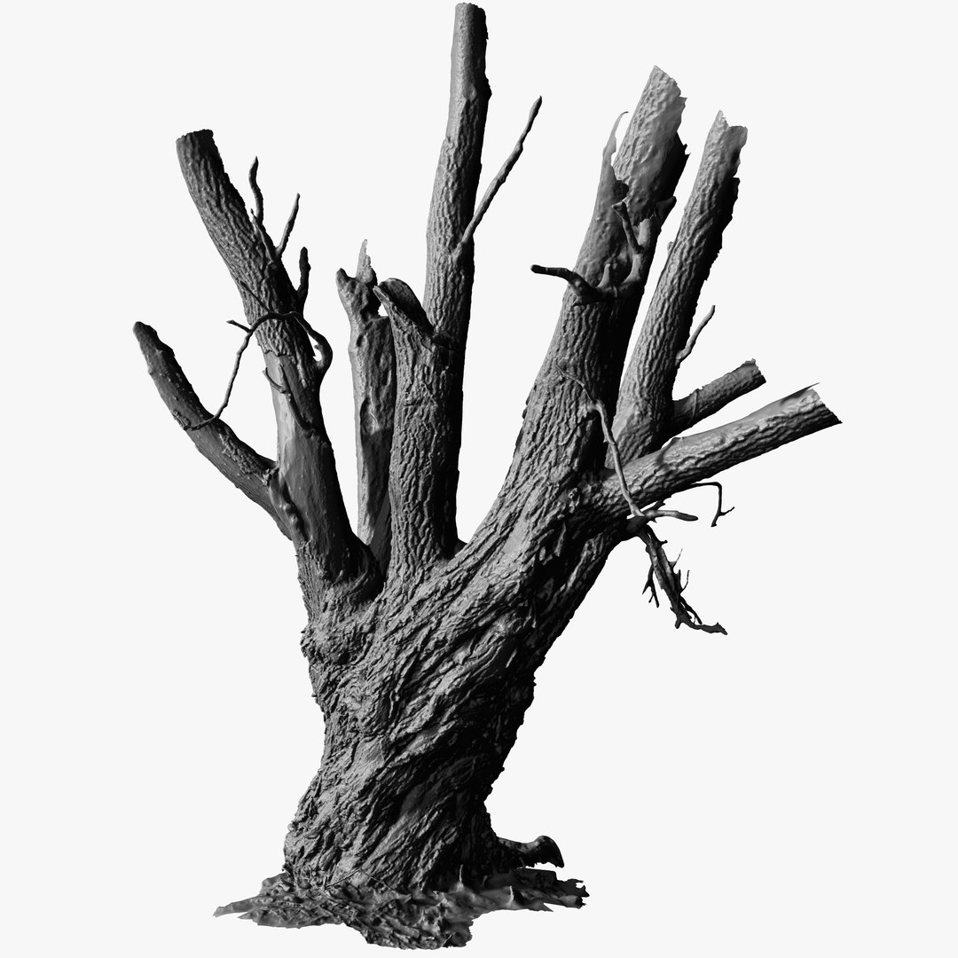 20 TREES BUNDLE of SCANS DAMAGED TREES 3D MODELS COLLECTION 3D model ...