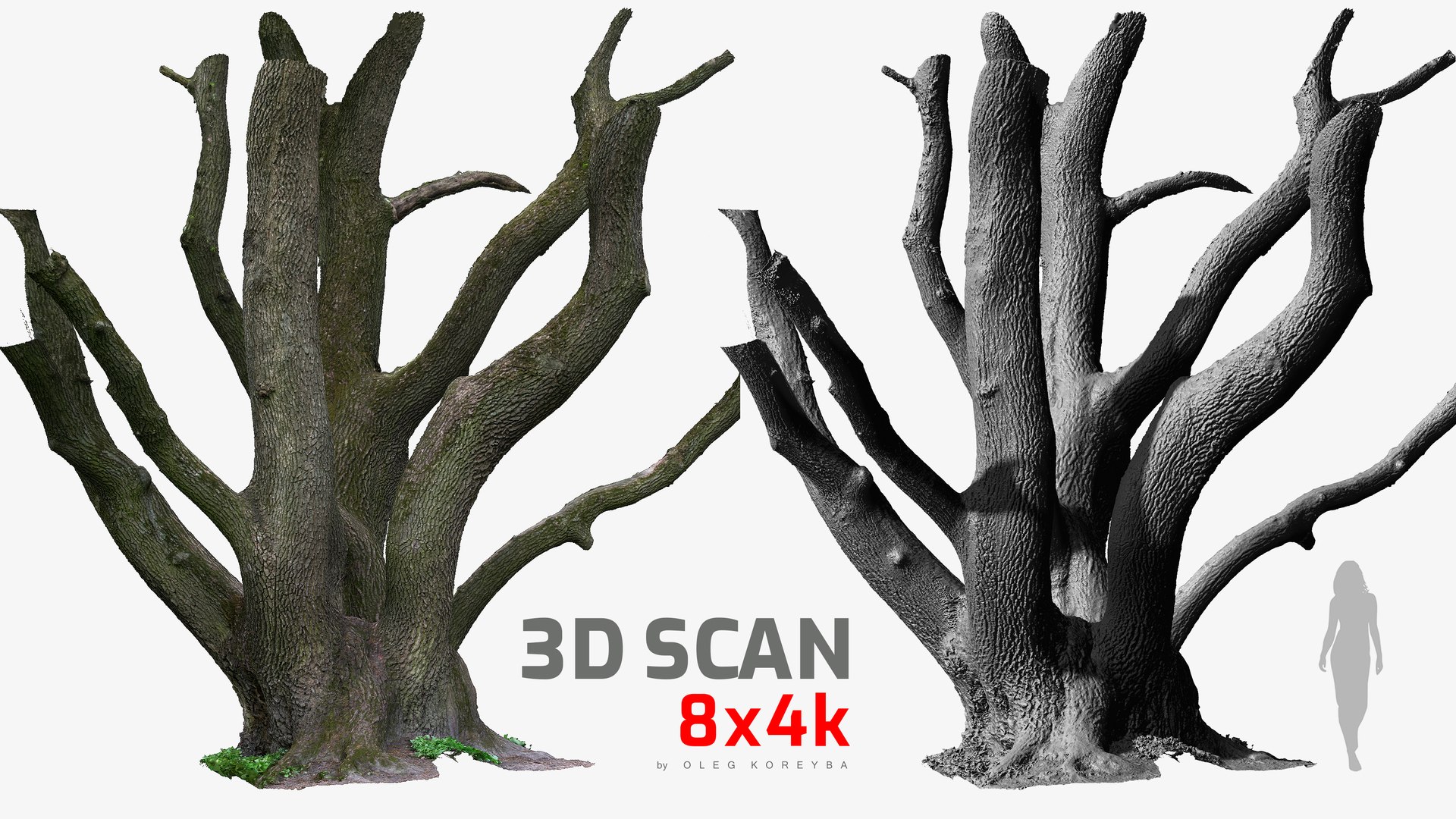 20 TREES BUNDLE of SCANS DAMAGED TREES 3D MODELS COLLECTION 3D model ...