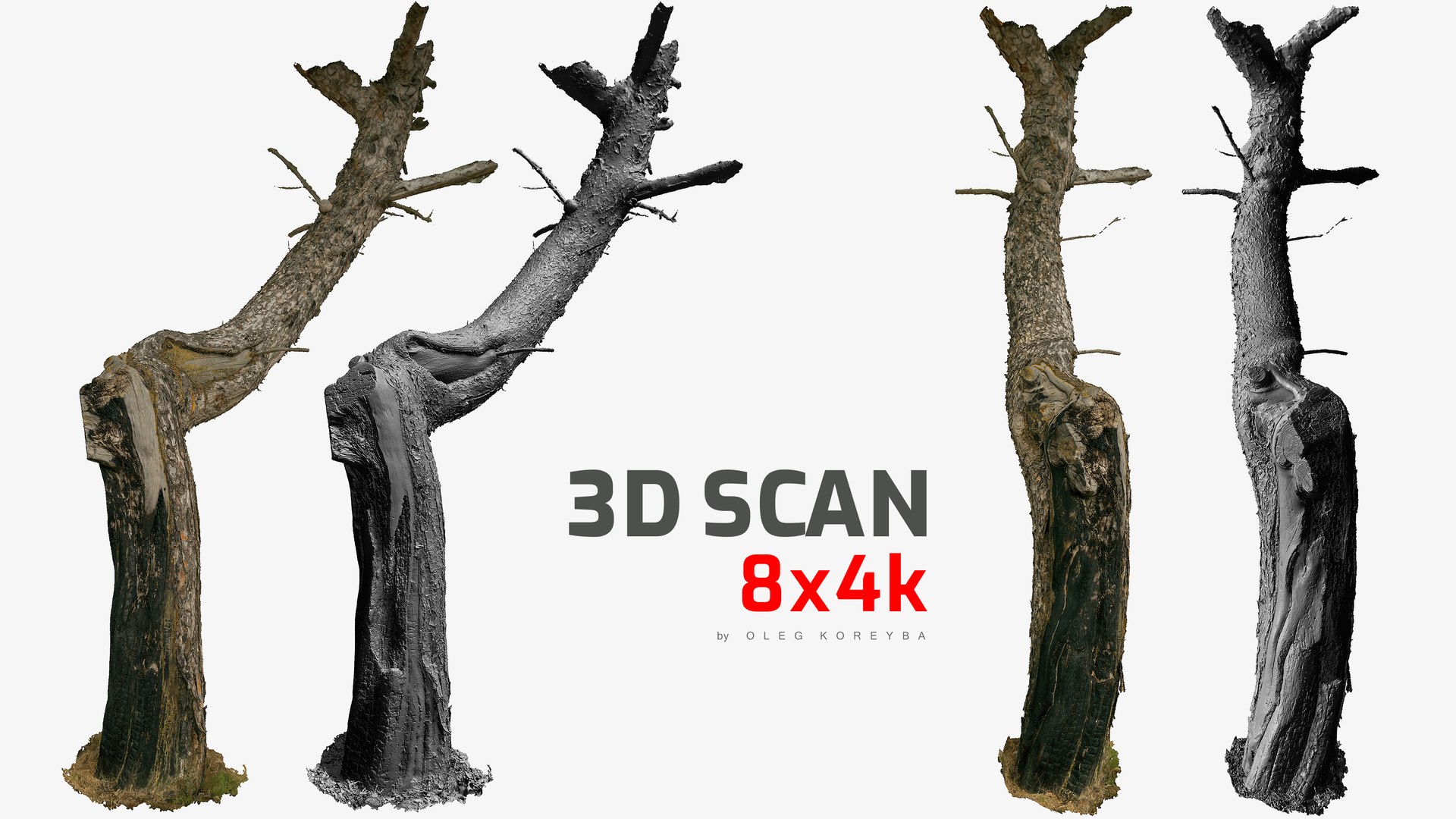 20 TREES BUNDLE Of SCANS DAMAGED TREES 3D MODELS COLLECTION 3D Model ...