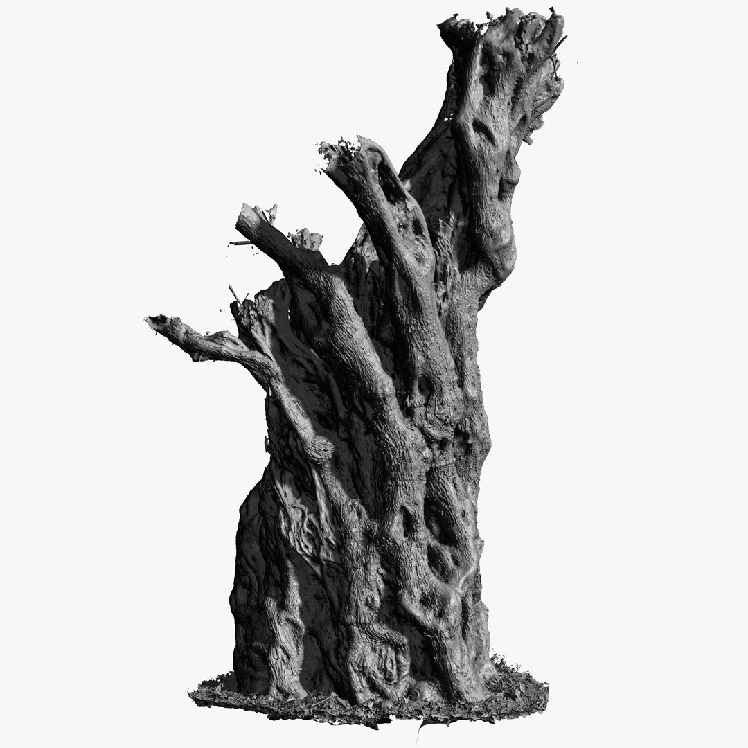 20 TREES BUNDLE of SCANS DAMAGED TREES 3D MODELS COLLECTION 3D model ...