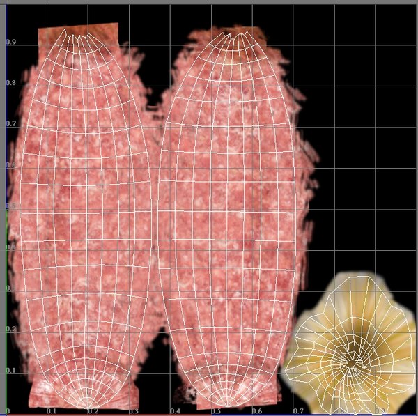 3d salami