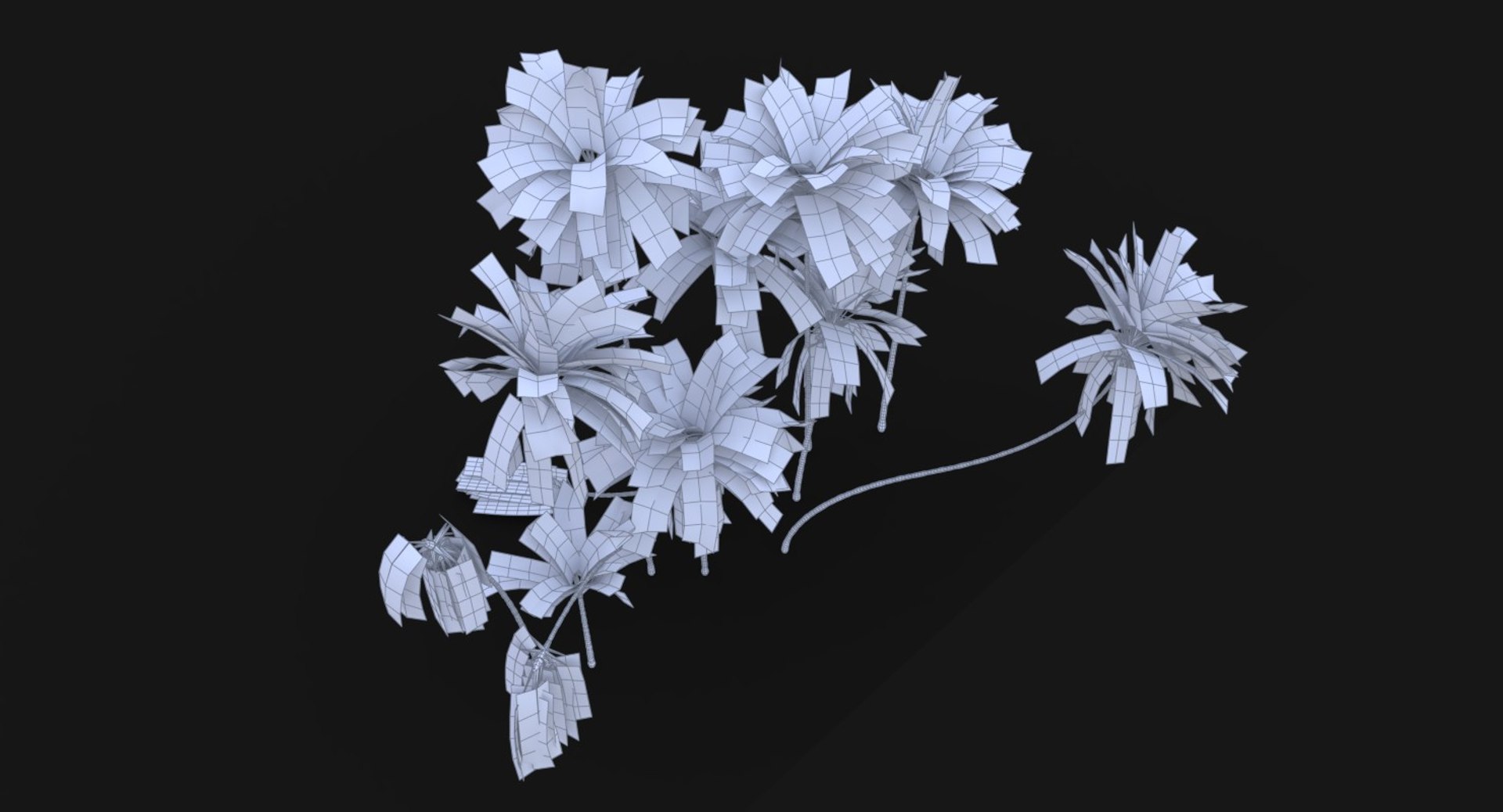 3D cocos coconut palm tree tropical - TurboSquid 1395586