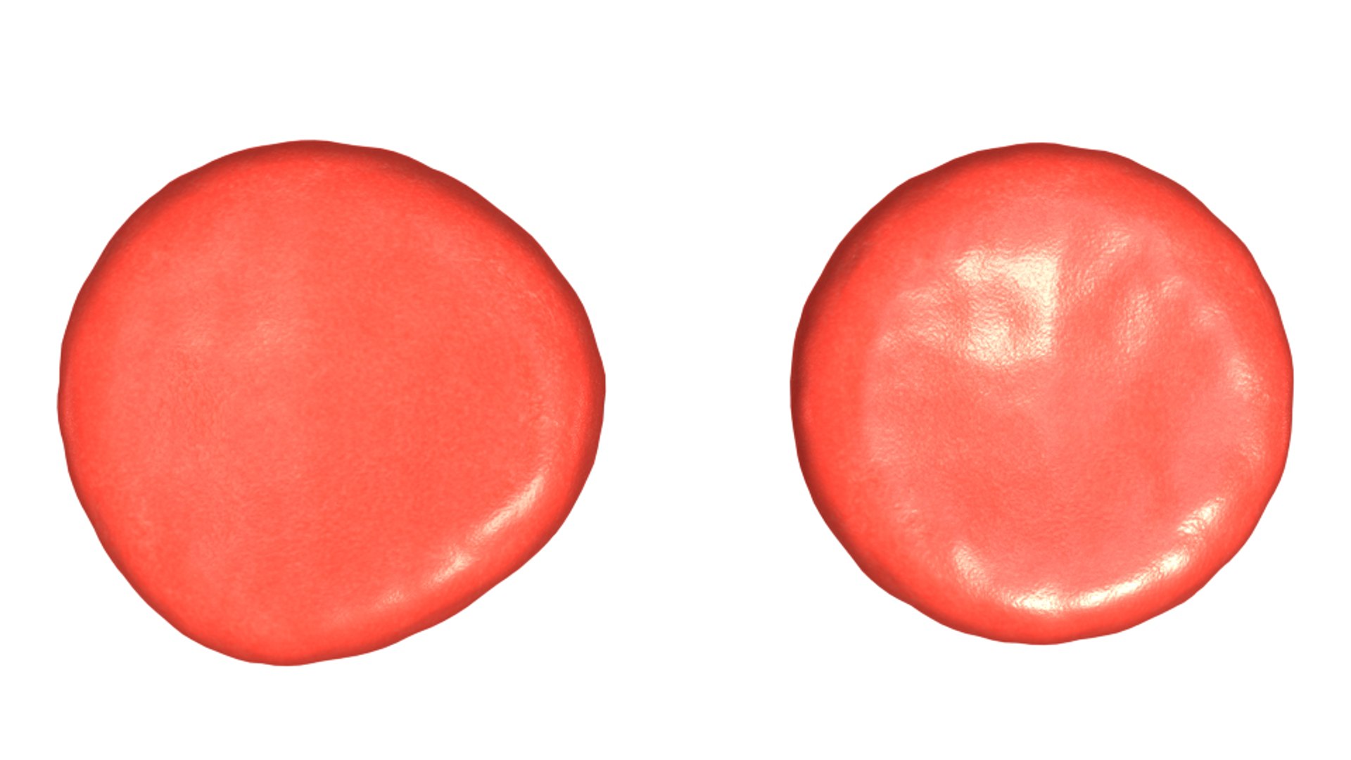 Human Red Blood Cell Max