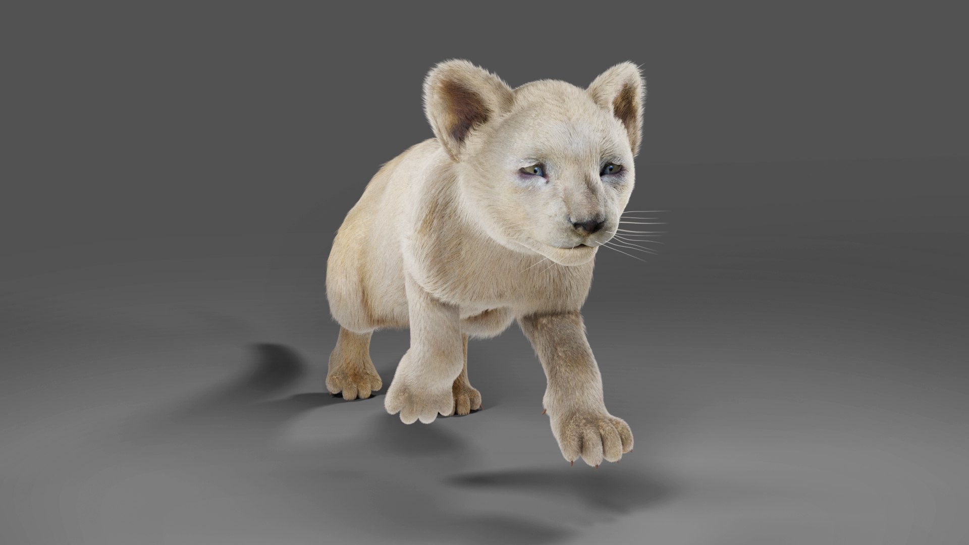 3D Fur Lion Cub Rigged And Animation - TurboSquid 2033423