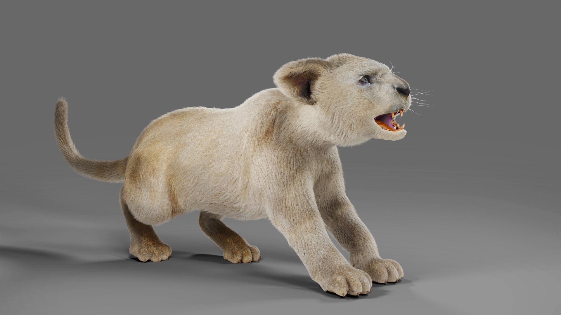3D Fur Lion Cub Rigged And Animation - TurboSquid 2033423