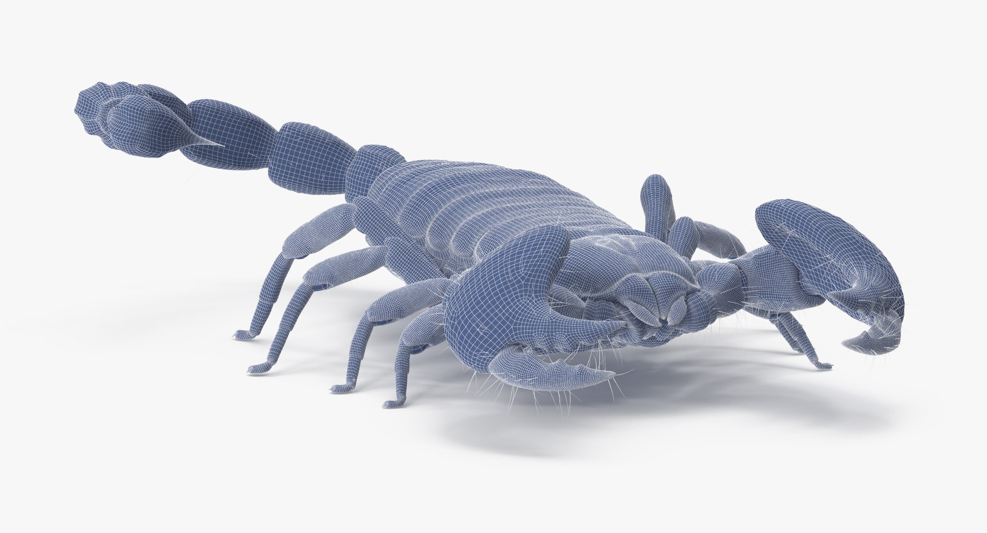 3d Scorpion