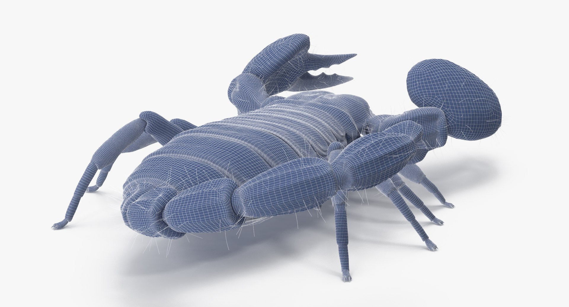 3d Scorpion