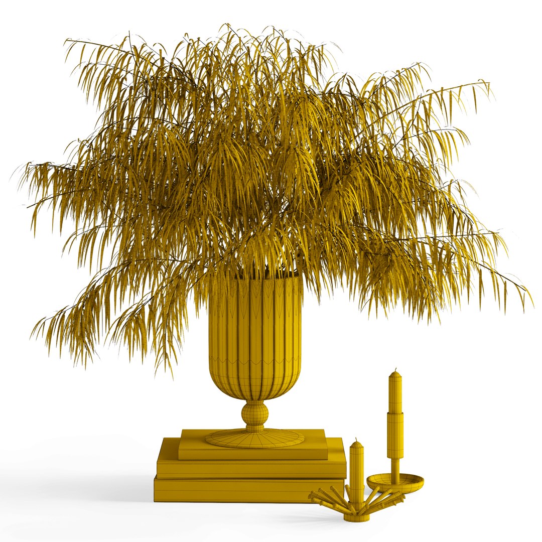 Realistic Agonis Model - TurboSquid 1345238