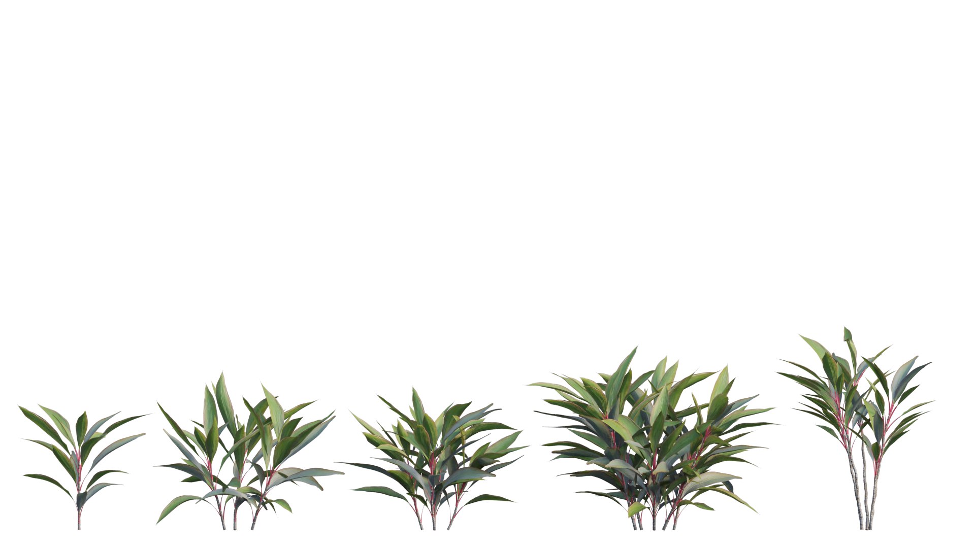 Bush Shrub Garden 3D Model - TurboSquid 1684793
