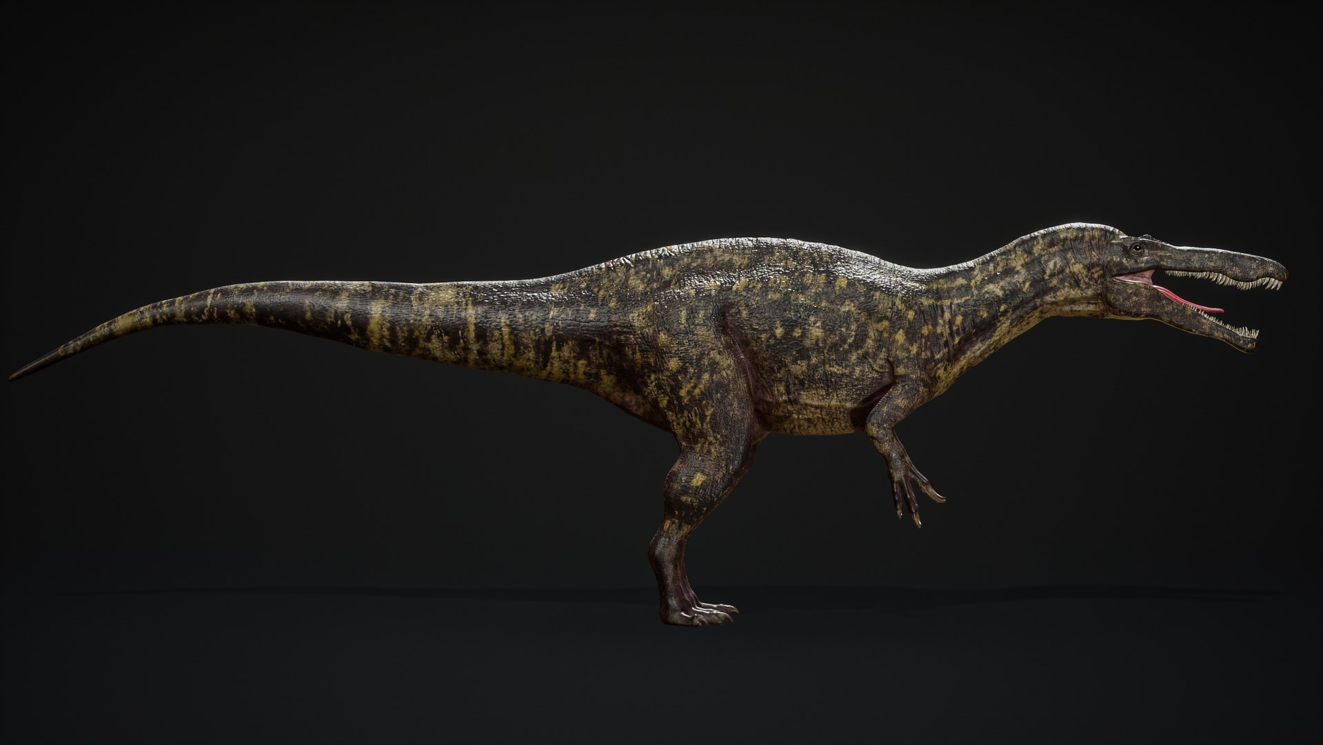 3D Dinosaur - Suchomimus Tenerensis Low-poly 3D Model Model ...