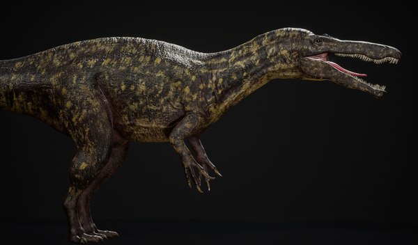 3D модель Dinosaur - Suchomimus Tenerensis Low-poly 3D model ...