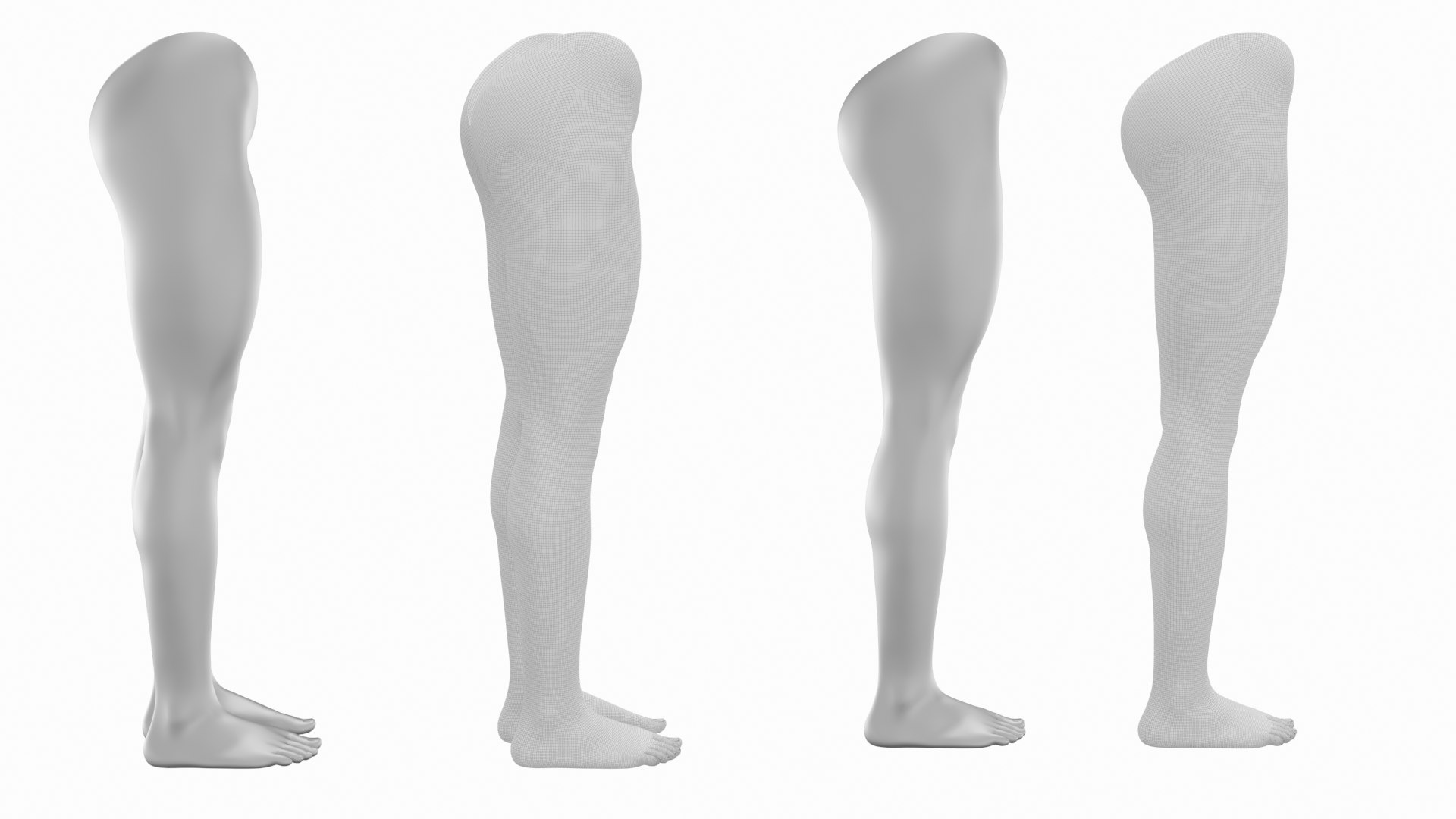 3D Female Legs Anatomical Base Mesh Model - TurboSquid 2166503