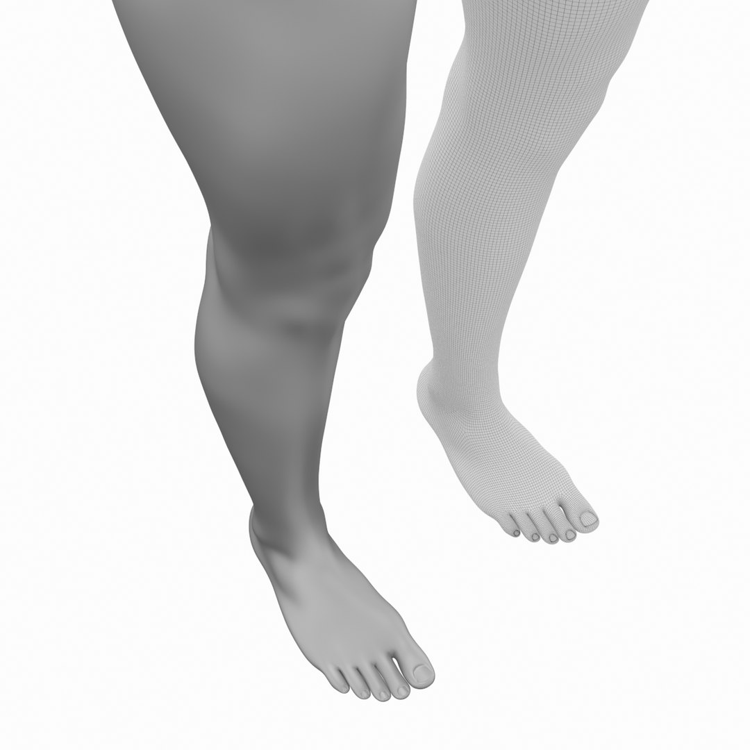 3D Female Legs Anatomical Base Mesh Model - TurboSquid 2166503