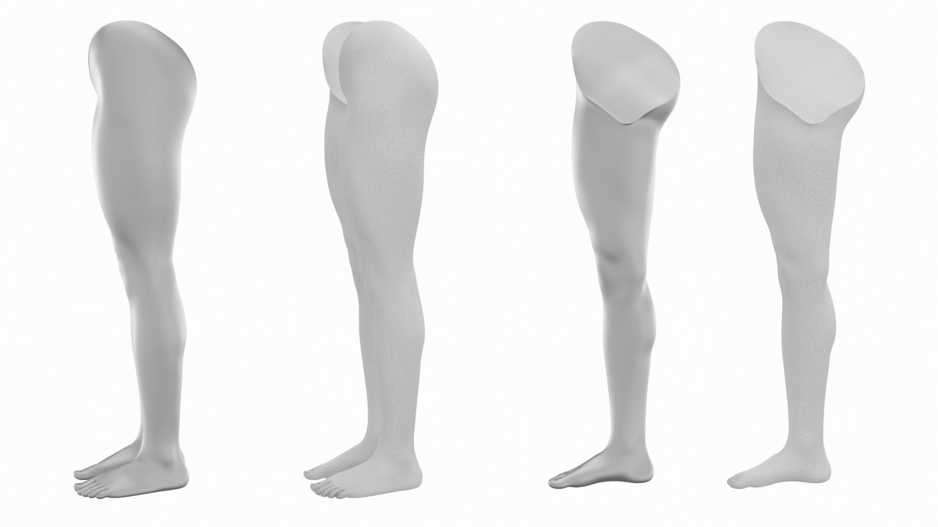 3D Female Legs Anatomical Base Mesh Model - TurboSquid 2166503