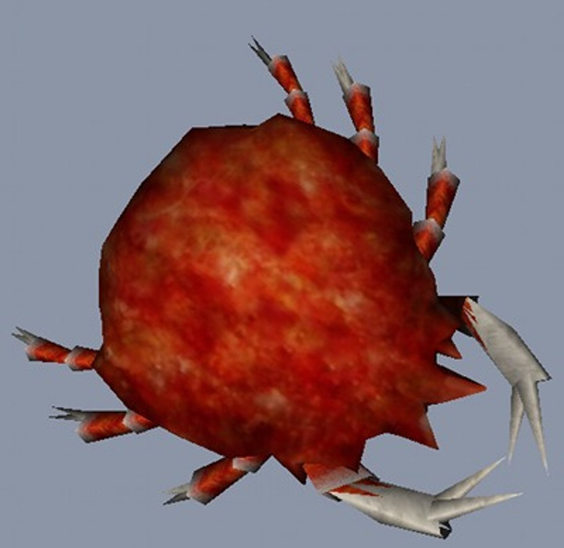 3d Crab Polys Model