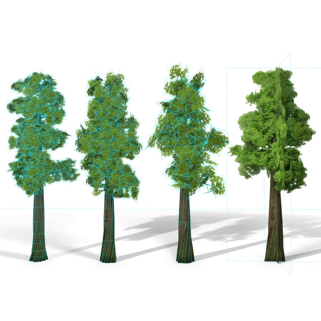 3D Model Pine Tree - TurboSquid 1241690