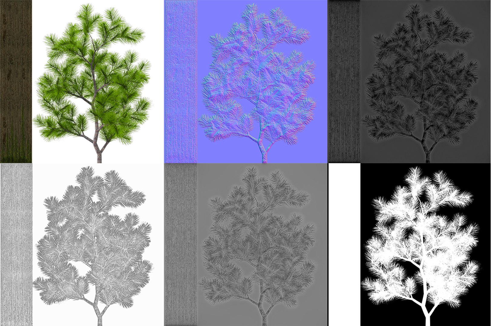 3D Model Pine Tree - TurboSquid 1241690