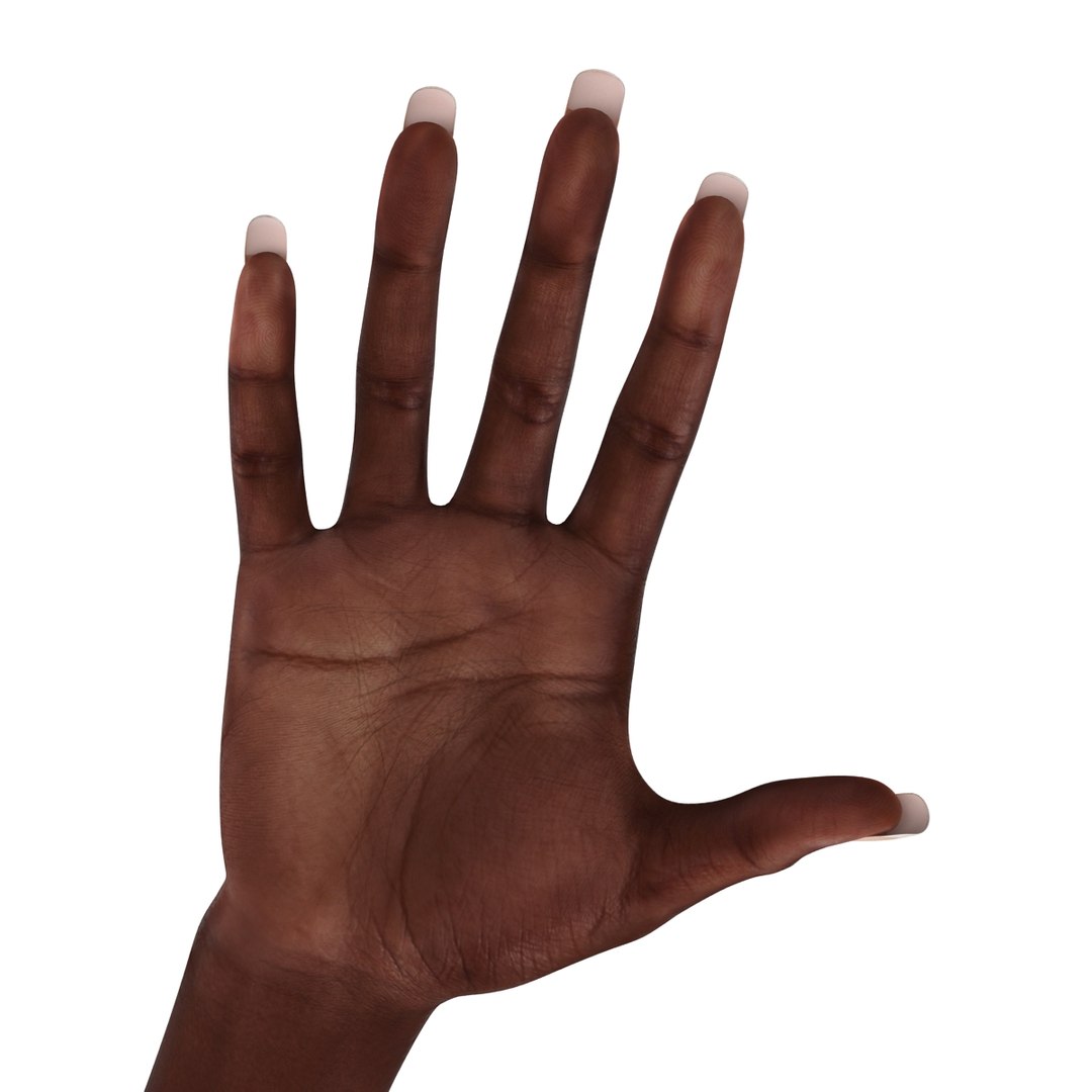 3d Female Hand African American Model