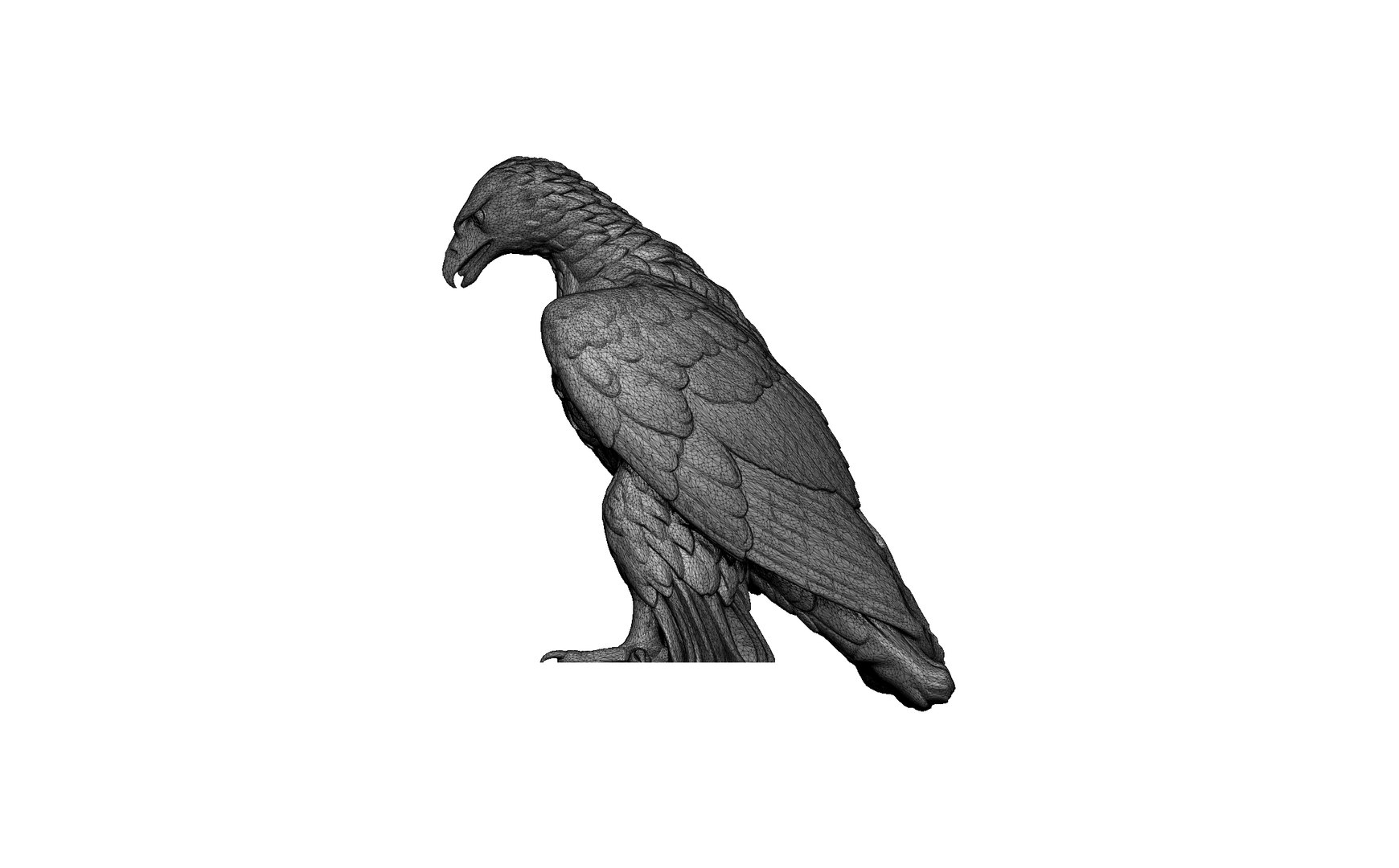 Eagle Hawk Bird Statue 3D Model - TurboSquid 2228182